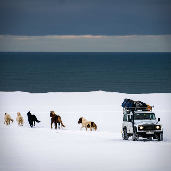 Under The Arctic Sky | MANCODE STYLE