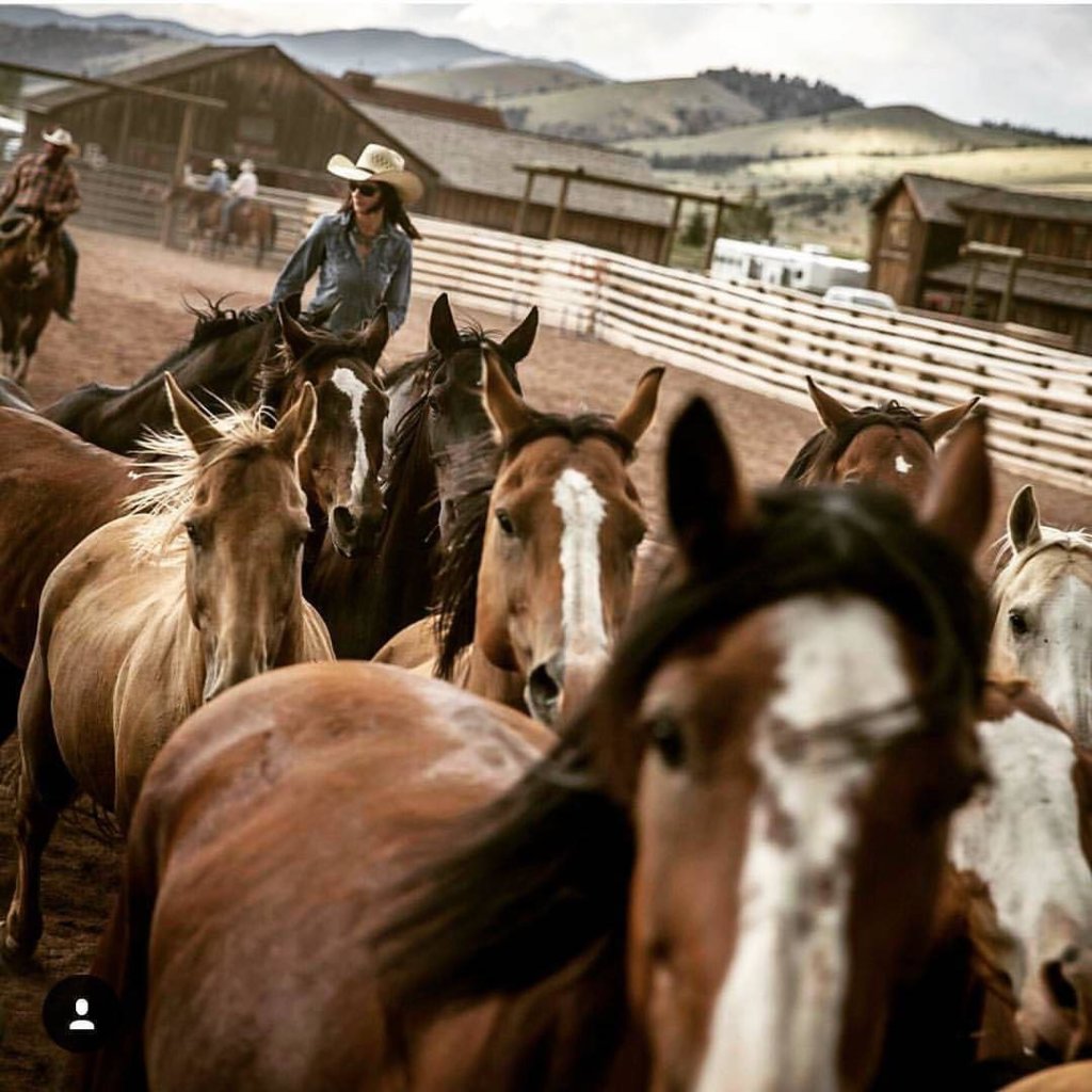 The Ranch | MANCODE STYLE