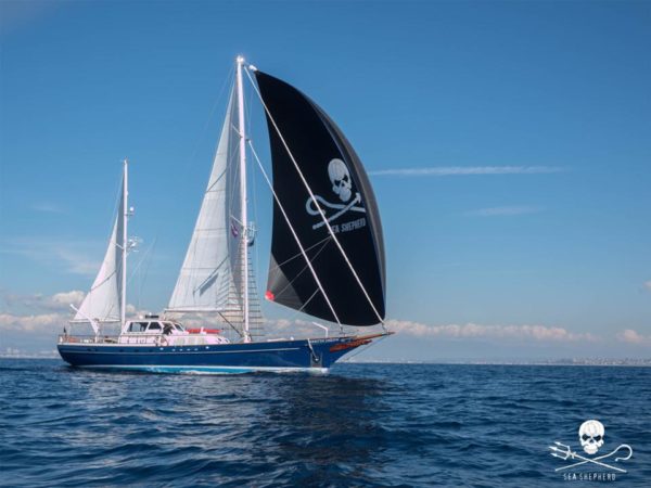 SEA SHEPHERD | MANCODE