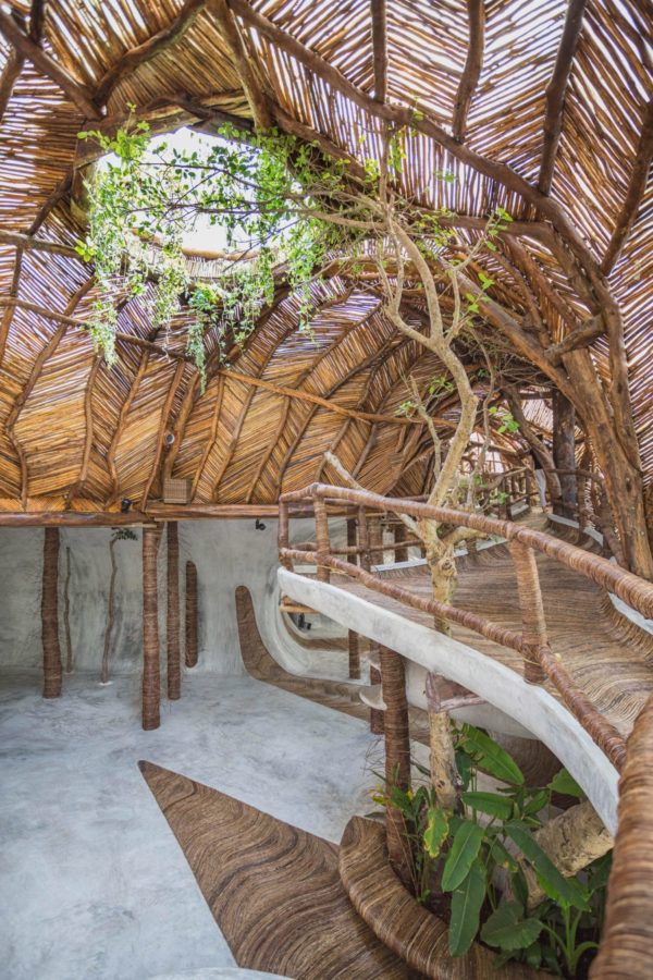 Tropical Art Lab | MANCODE