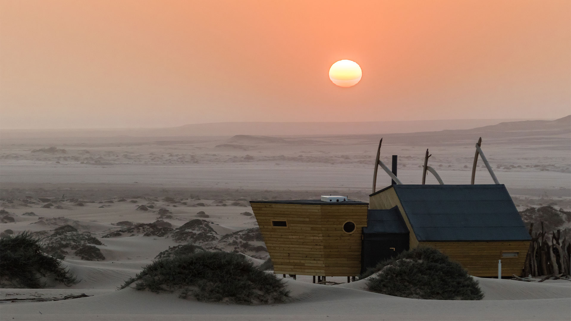 Desert Castaways | MANCODE