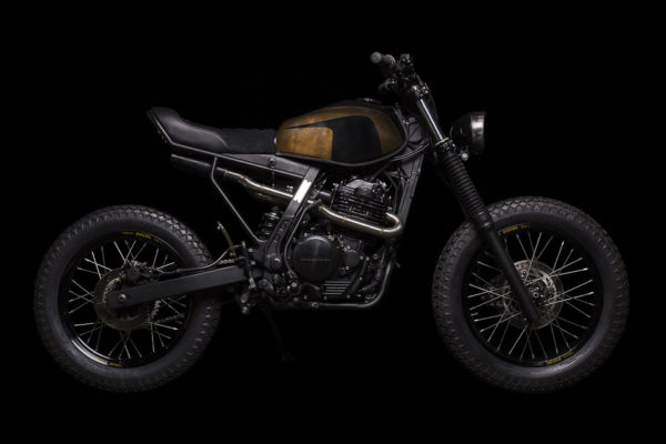 Medusa Dominator | MANCODE