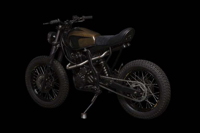 Medusa Dominator | MANCODE