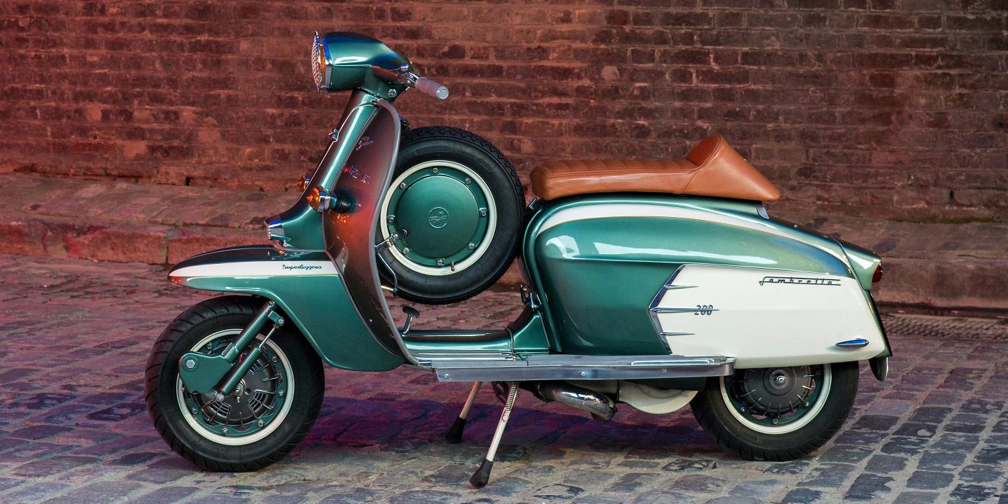 Italian Wildcat | MANCODE STYLE