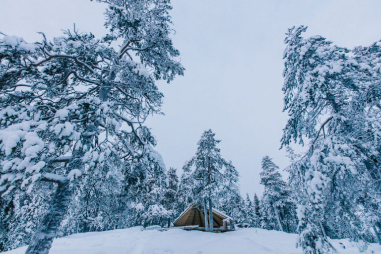 Arctic Treehouse Hotel | MANCODE STYLE