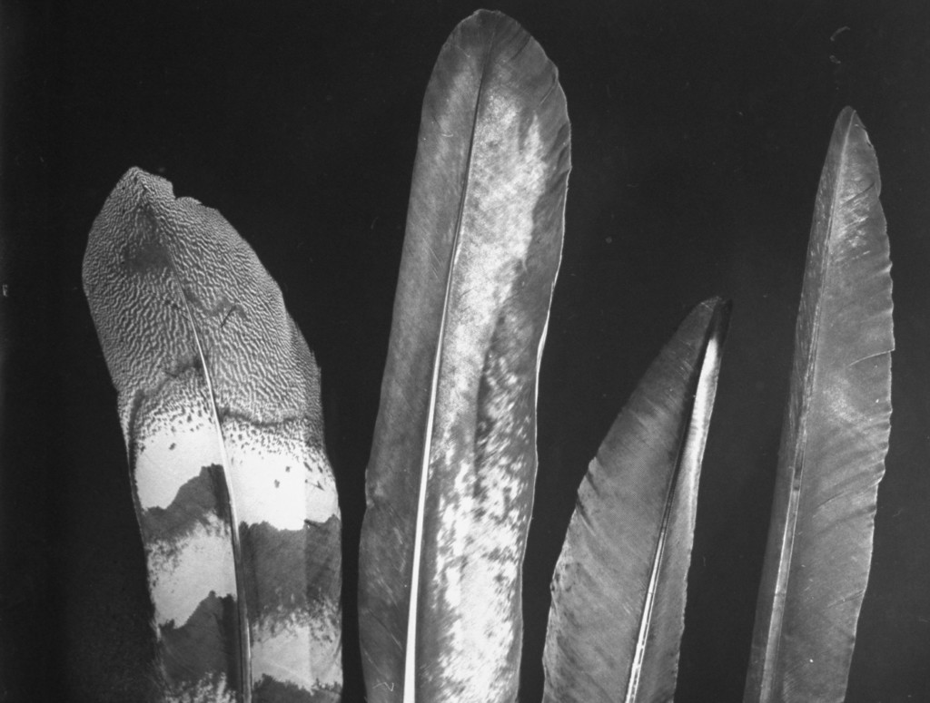 "We face the future with style. Real style is not to live in fear" | MANCODE STYLE