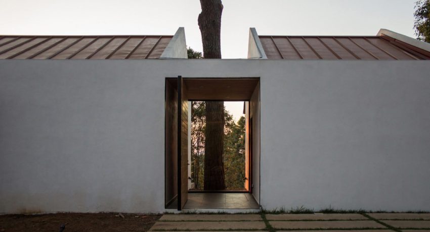 Α house around a tree in Mexico | MANCODE STYLE