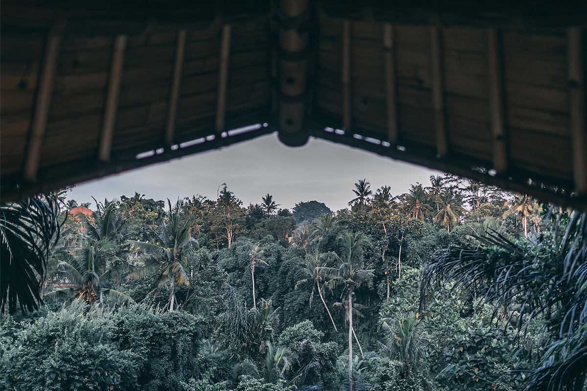 A playful bamboo treehouse | MANCODE STYLE