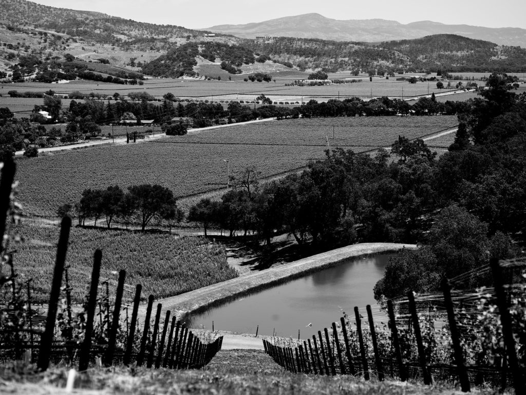 Code:Wine | Αντλώντας έμπνευση από τον William Shakepeare | MANCODE STYLE