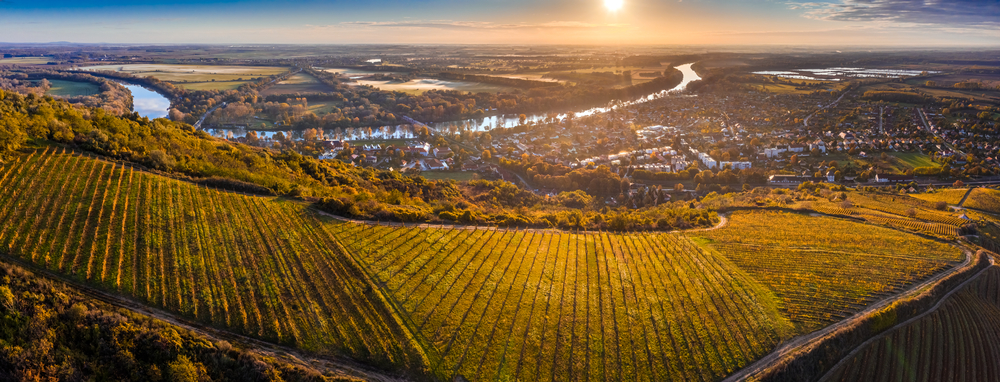 Code:Wine | O γλυκός πλούτος του Oremus | MANCODE STYLE