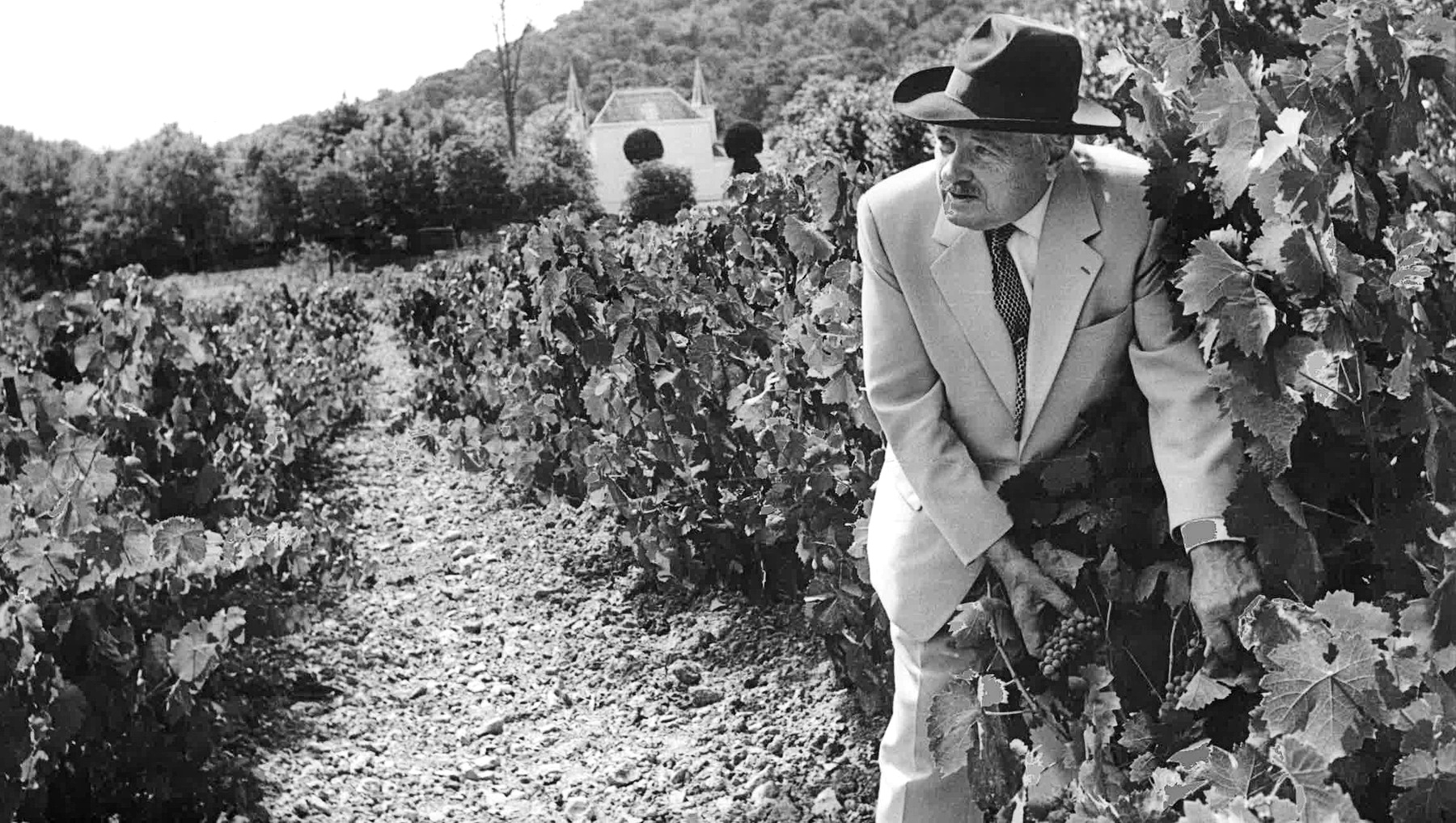 Code:Wine | Ένα σπουδαίο κρασί από το Château Simone | MANCODE STYLE