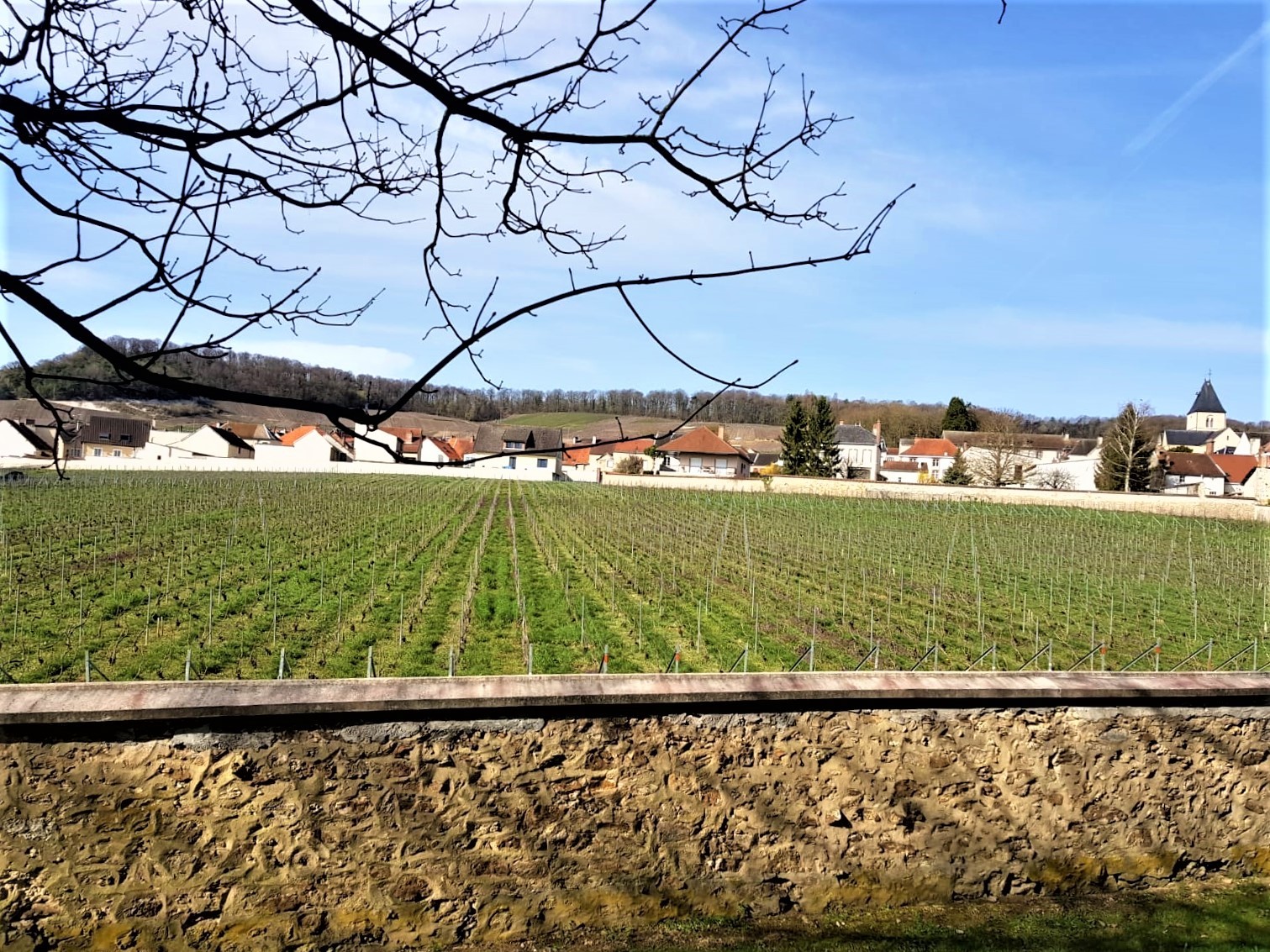 Precious and rare | MANCODE STYLE