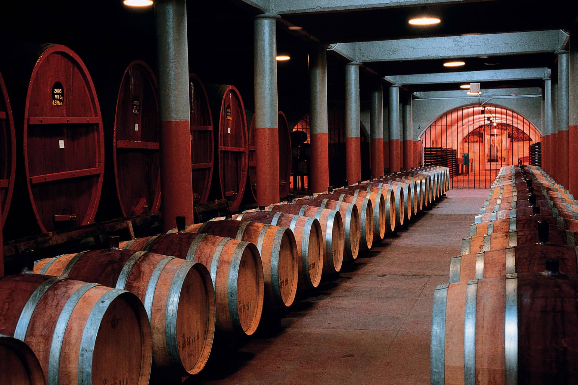 Code:Wine | Sublime vigneron | MANCODE STYLE