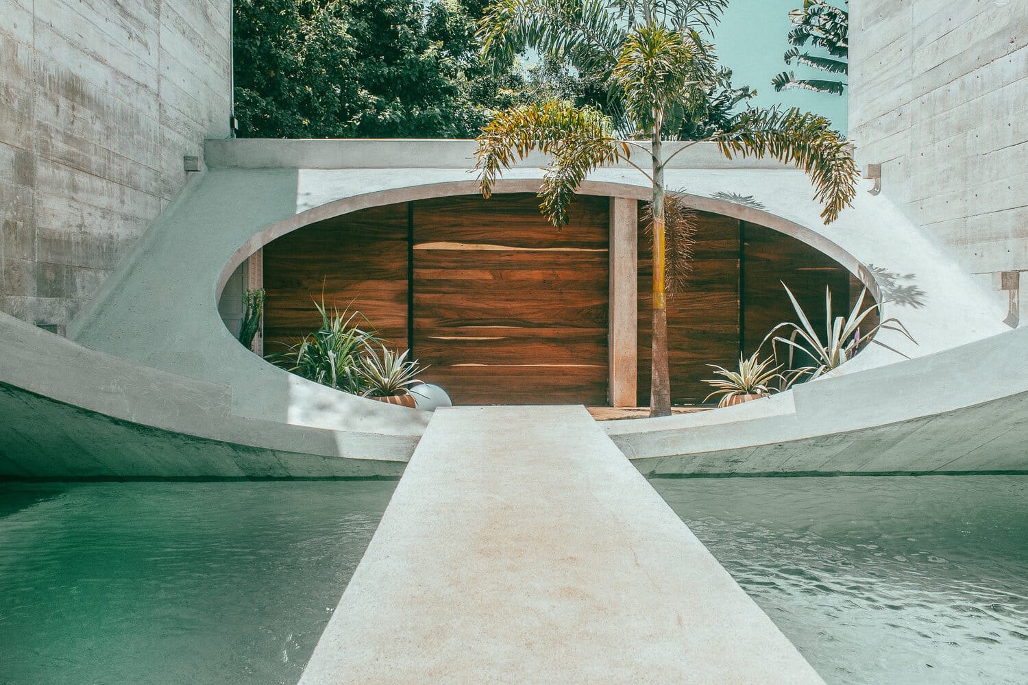 Tropical breeze | MANCODE STYLE