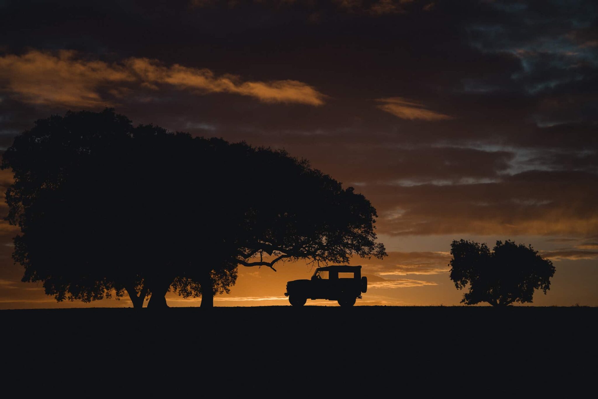 Successful revival | MANCODE STYLE