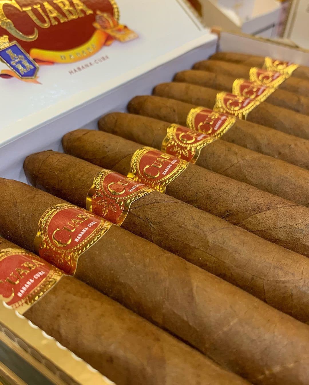 Cuaba - Centenario | MANCODE STYLE