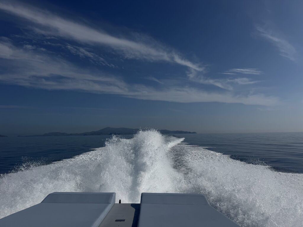 Freedom | MANCODE STYLE