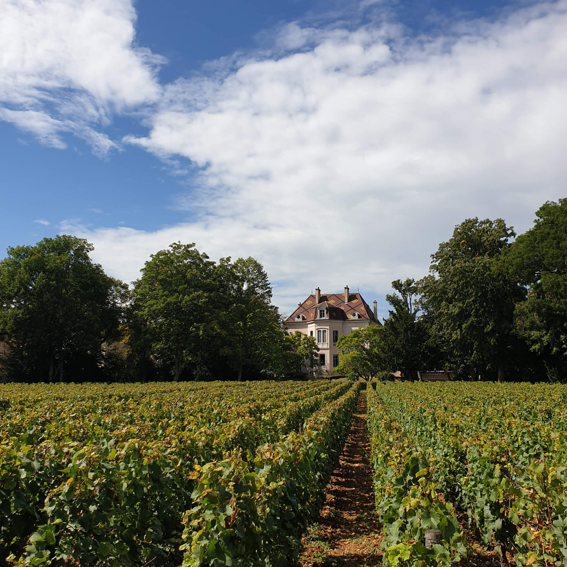 Meursault Clos de la Barre 2017, Chardonnay, Domaine des Comtes Lafon ...